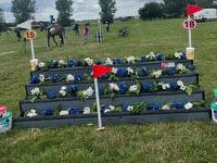 LITTLE DOWNHAM 3 2025 BE 100 | CrossCountry App