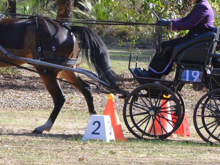 Murray Districts Carriage Driving Club Inc Cones Course | CrossCountry App