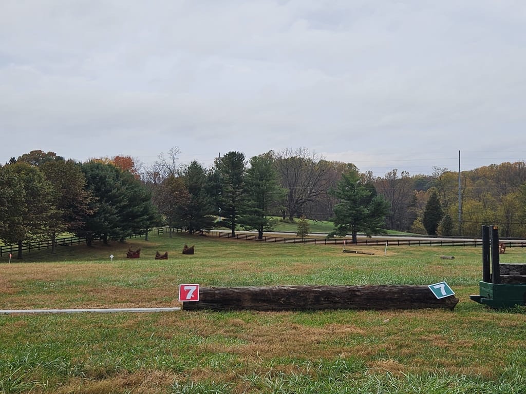 Flying Cross Farm November Mini 2024 Tadpole,Baby Starter, Grasshopper ...