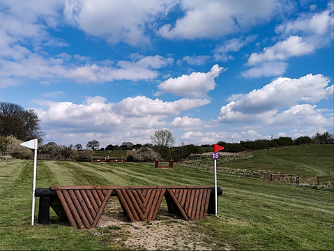 Eland Lodge Voltaire Design British Eventing BE80 (Purple) April 2021 ...