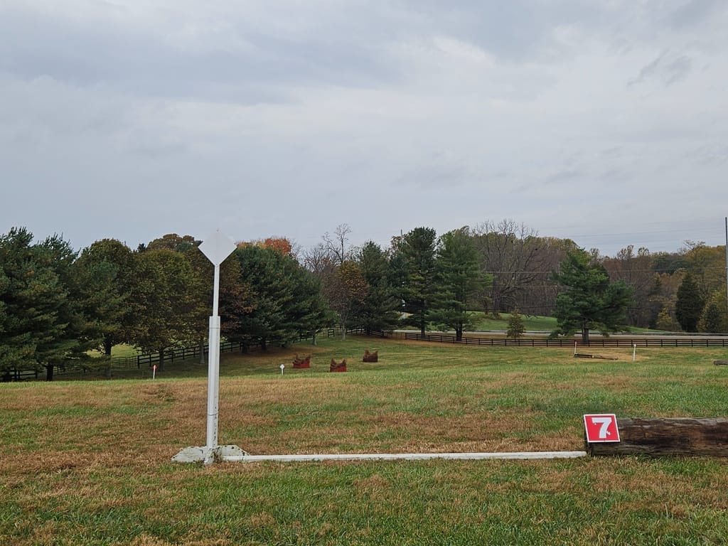 Flying Cross Farm November Mini 2024 Leadline | CrossCountry App